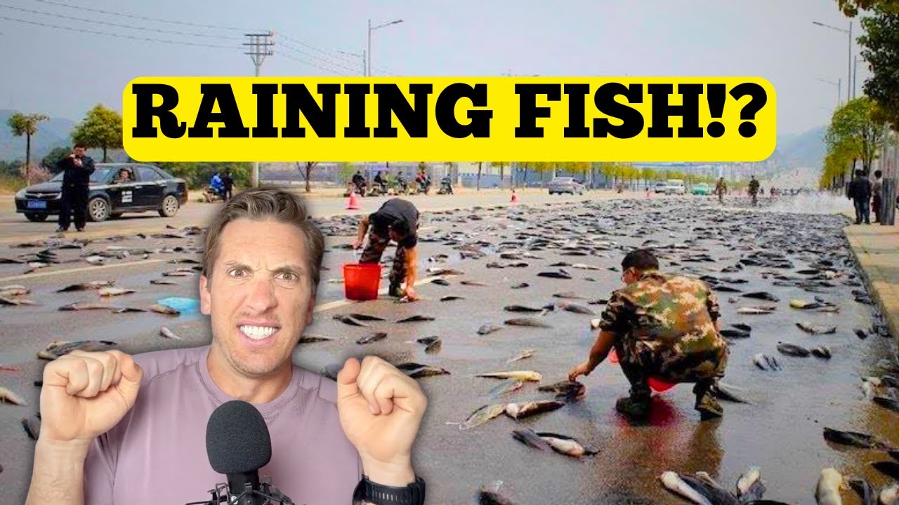 Does It Really Rain Fish in Honduras? (Lluvia de Peces) - YouTube