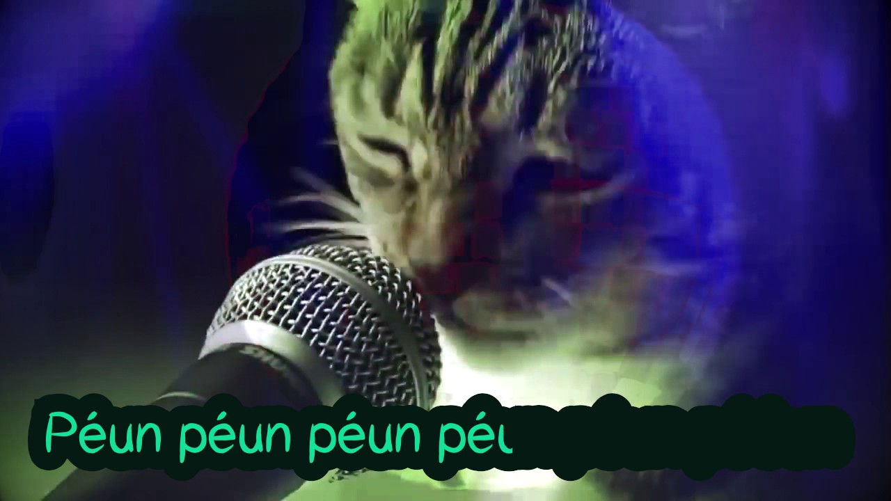 ATR - Russian Cat Party (Lyric video) - YouTube