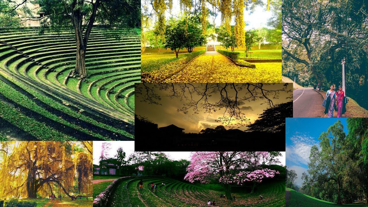 හන්තානට පායන හඳ [ THE BEAUTY OF PERA ] - YouTube