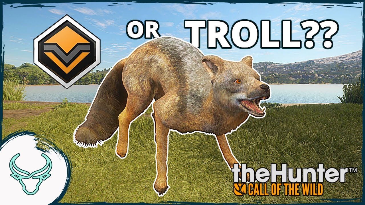 Hunting a LEGENDARY Jackal!! theHunter: Call of the Wild - YouTube