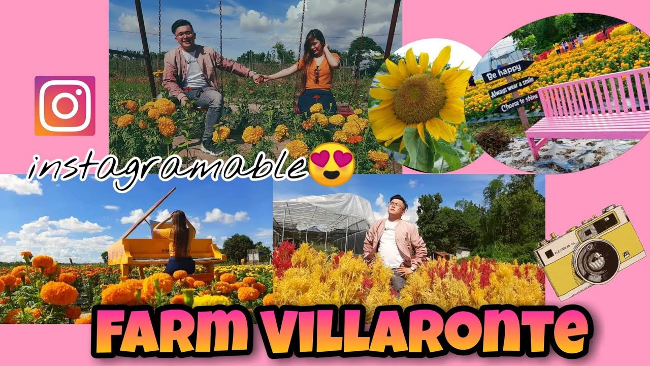 FARM VILLARONTE in Nueva Ecija + Samgyupsal ( FIRST TIME 🤣 ) - YouTube