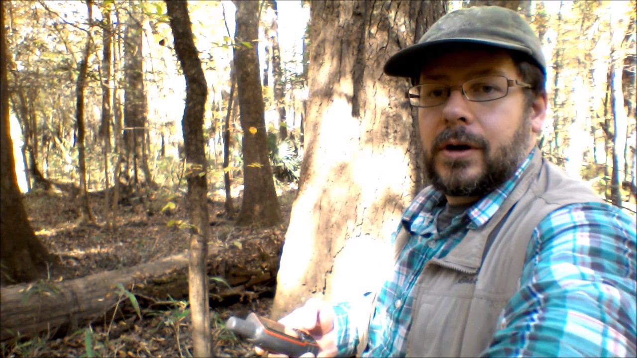Chasing Bats at Congaree - Episode 3: A Typical Day - YouTube