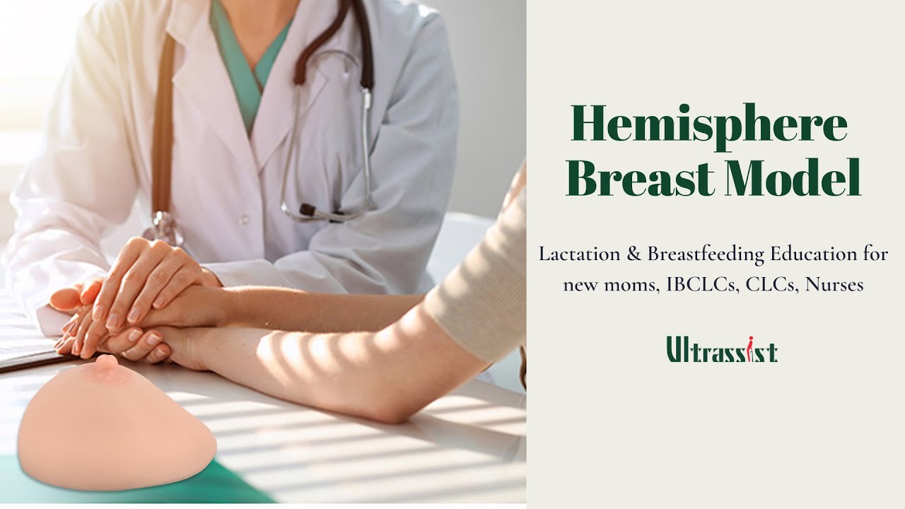 Lactating Breast Model - Teach or Train Breast Massage and ...