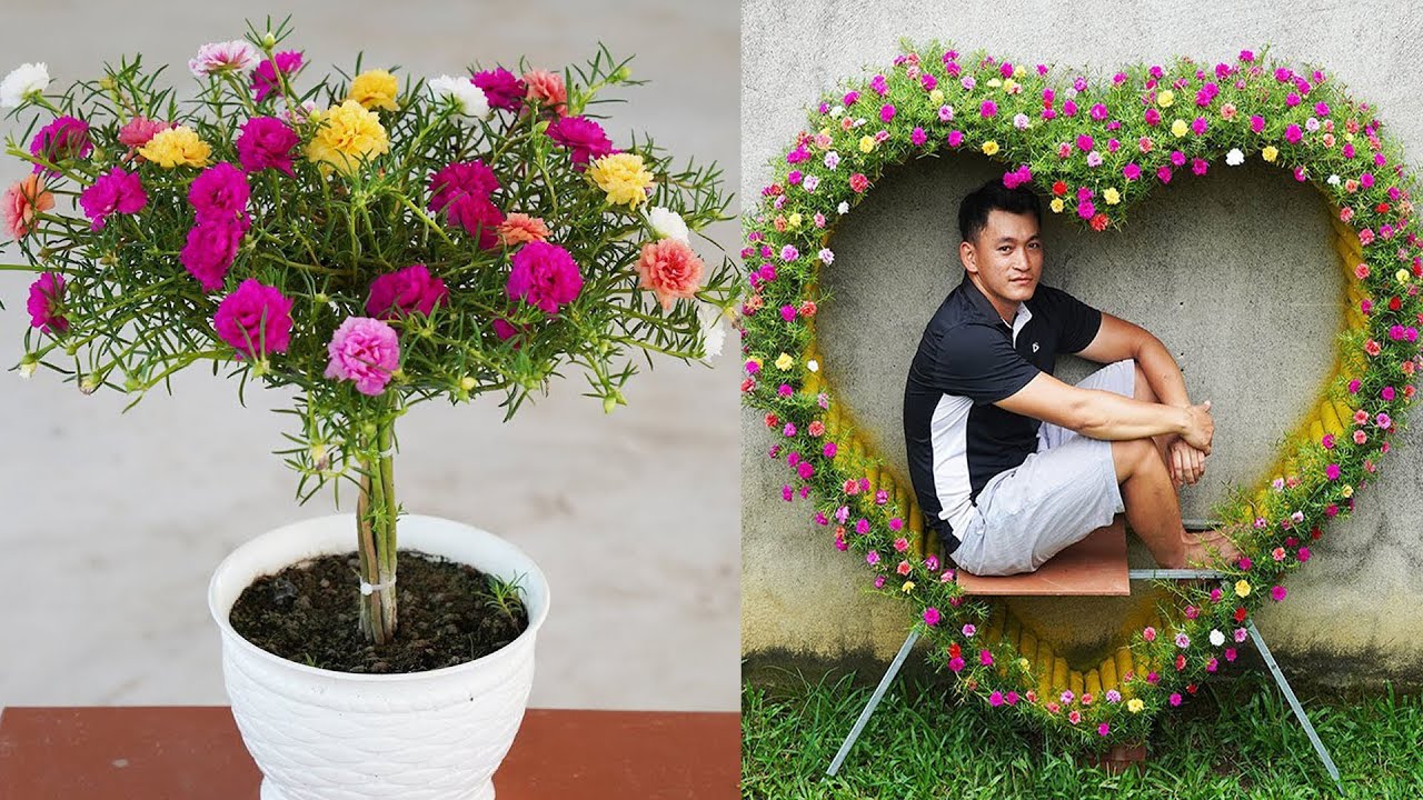 Blooming Hearts Creative Small Flower Garden Ideas for a Beautiful Yard ...