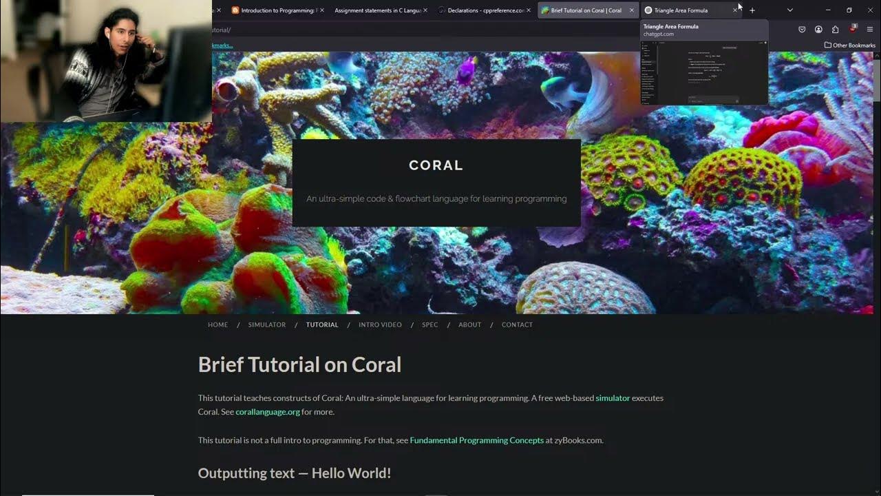 STUDY WITH ME | D278A Scripting and Programming Foundations Ep.1 - YouTube
