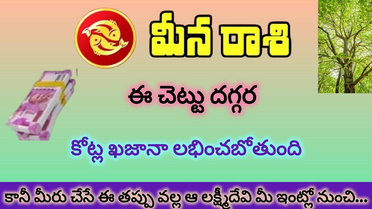 మీన రాశి వారికి ఈ చెట్టు దగ్గర కోట్ల ఖజానా లభించబోతుంది ఎక్కడున్నా ...