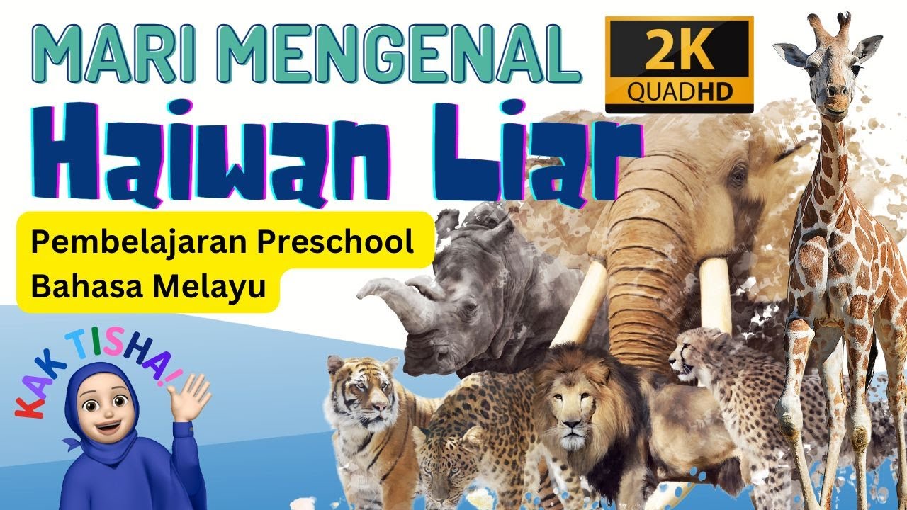 Mari Mengenal Haiwan Liar beserta bunyi | Bunyi Haiwan | Preeschool ...
