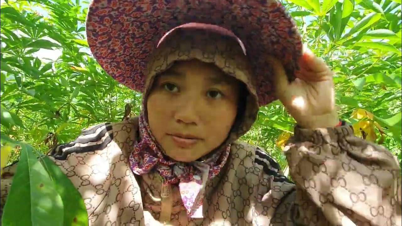 hnub no kuv mu pab nyab tsim luaj teb qos os - YouTube