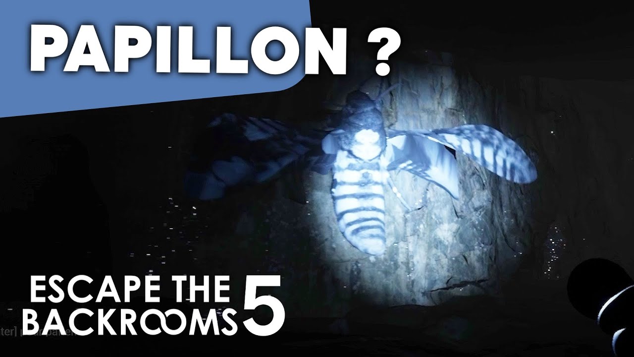 "Nous Ne Faisons QU'UN Avec Les PAPILLONS !" - ESCAPE THE BACKROOMS EP ...