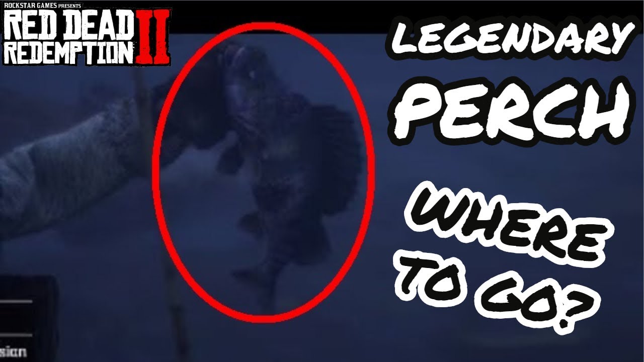 Red Dead Redemption 2 Legendary Perch In Elysian (Where To Go) - YouTube