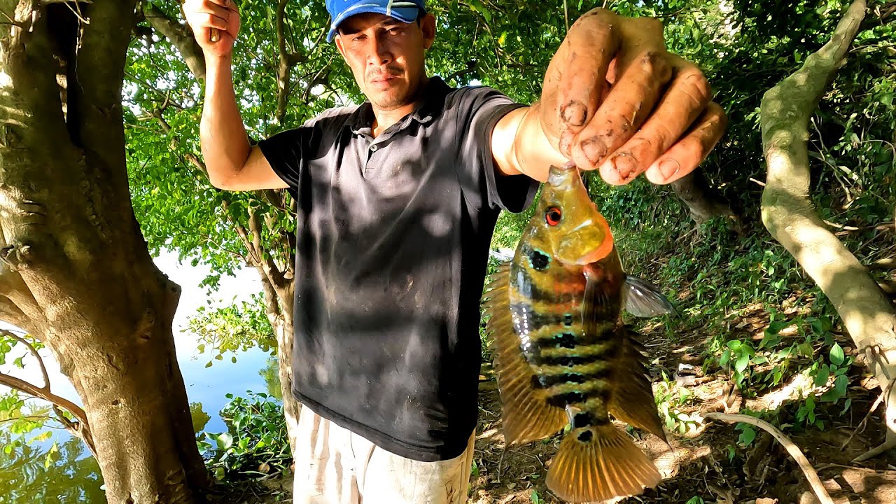 LA MEJOR PESCA CON ANZUELO EN LO QUE VA DEL AÑO! CUENTEN LAS MOJARRAS ...