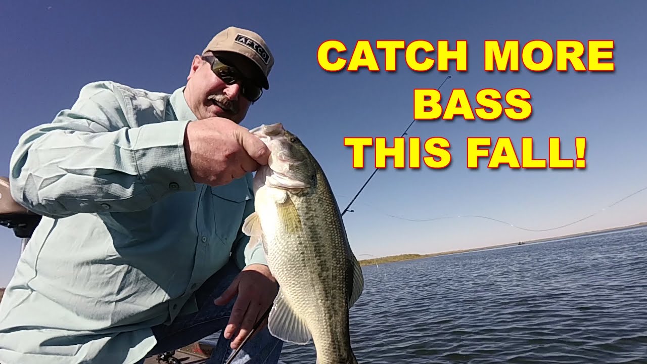 Setting Yourself Up For FANTASTIC Fall Bass FISHING! | Bass Fishing ...