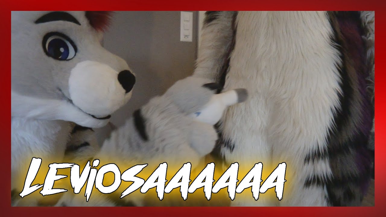 Wenn Wingardium Leviosaaaaaa eskaliert - YouTube