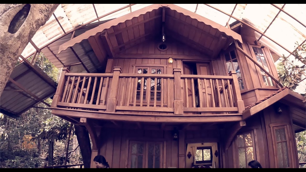 Birthday Celebration | Coorg | Forest Valley - YouTube