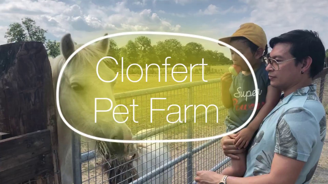 Clonfert Pet Farm - YouTube