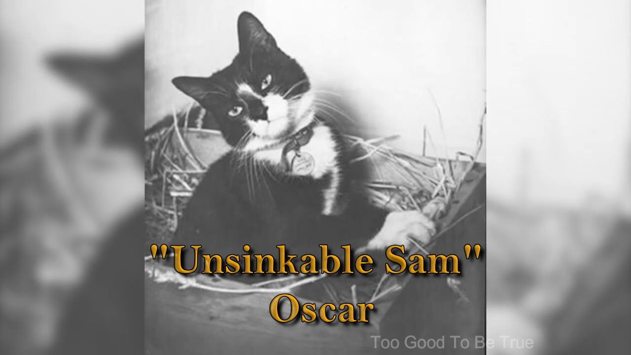 Unsinkable Sam | Oscar | Did You Know | Too Good To Be True | - YouTube