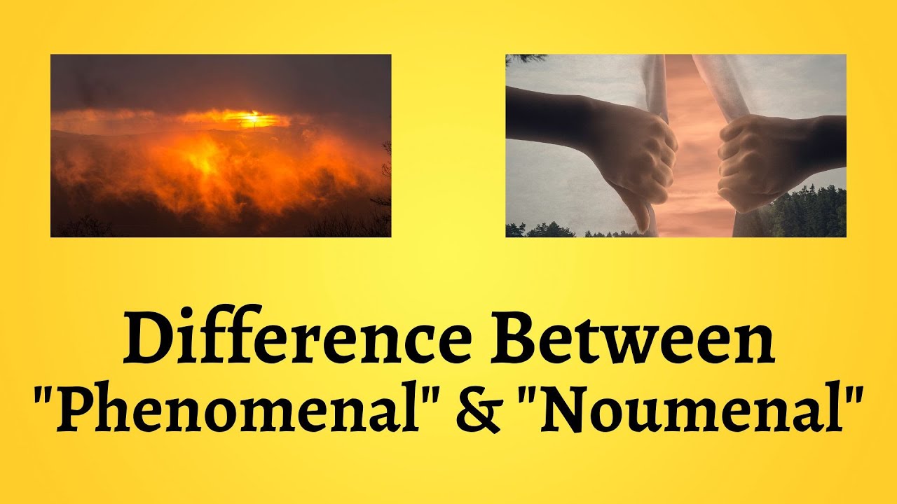 Difference Between Phenomenal and Noumenal | Unraveling the Phenomenal and Noumenal Dimensions ...
