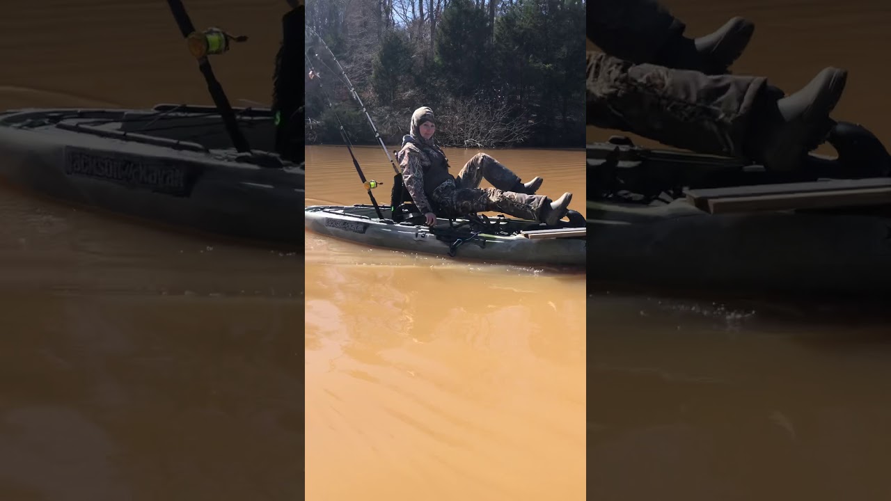 Jackson bite fd (quick look) - YouTube