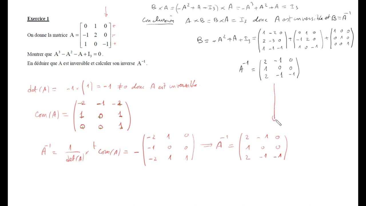 06 Exercices d'entrainement : Calcul matriciel/ Inverse d'une matrice ...