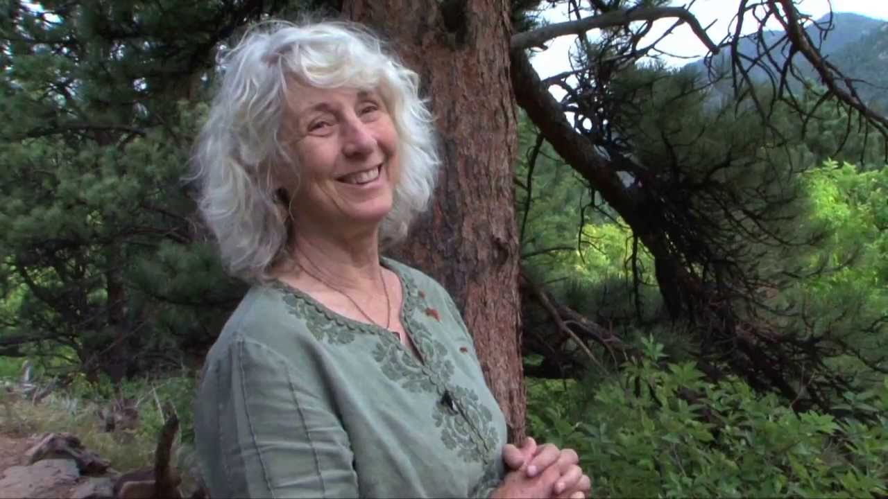 The Varieties of Willow - YouTube