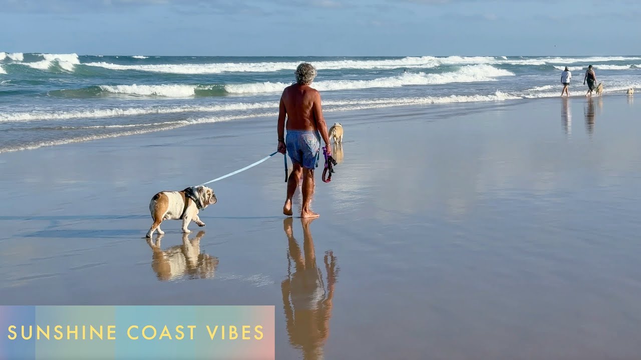 Sunshine Coast Vibes - Noosa, Glass House Mountains, Buderim ...
