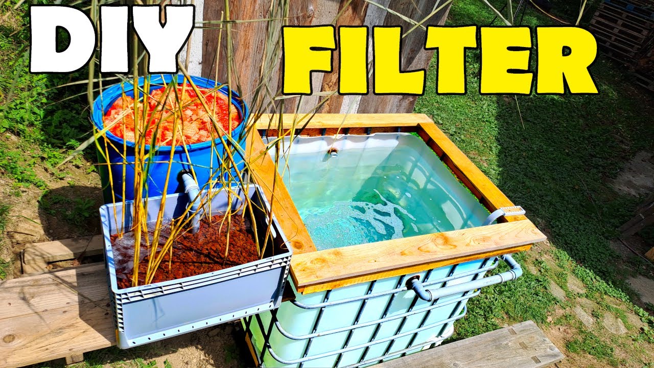 DIY natural filter for BIO ibc tank pool from start to finish - YouTube
