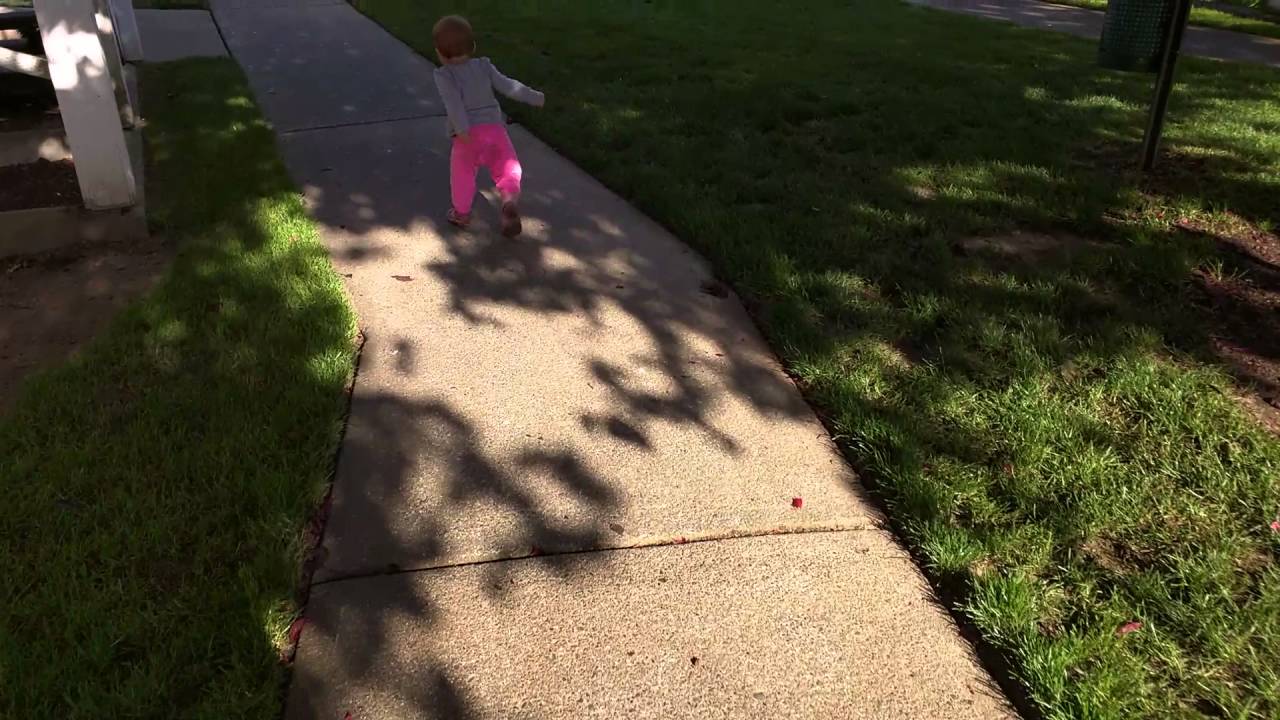 outdoor wandering - YouTube