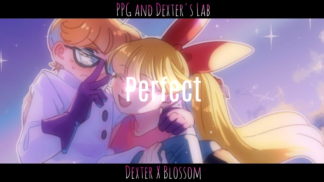 🍀『𝙋𝙚𝙧𝙛𝙚𝙘𝙩... | DexBloss | PPG and Dexter's Lab.』🌺 - YouTube