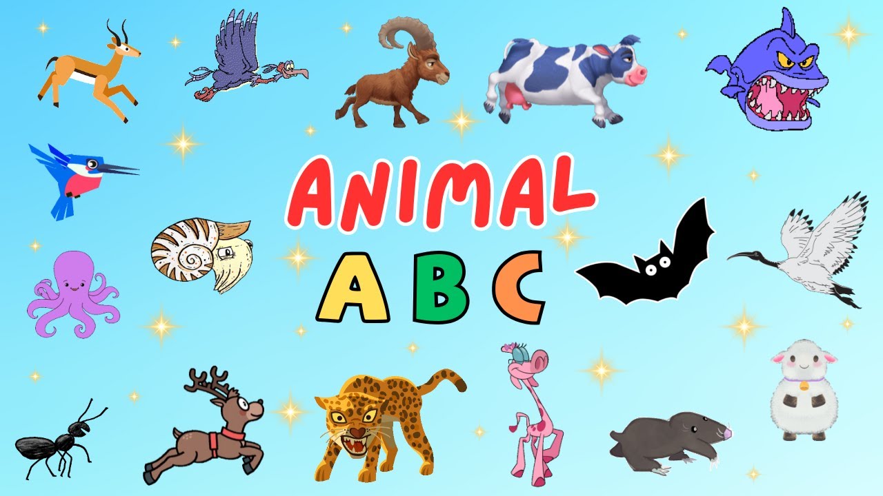 Alphabet ABC Animal Song T1902 | Nursery Rhymes | Kids TV Education ...