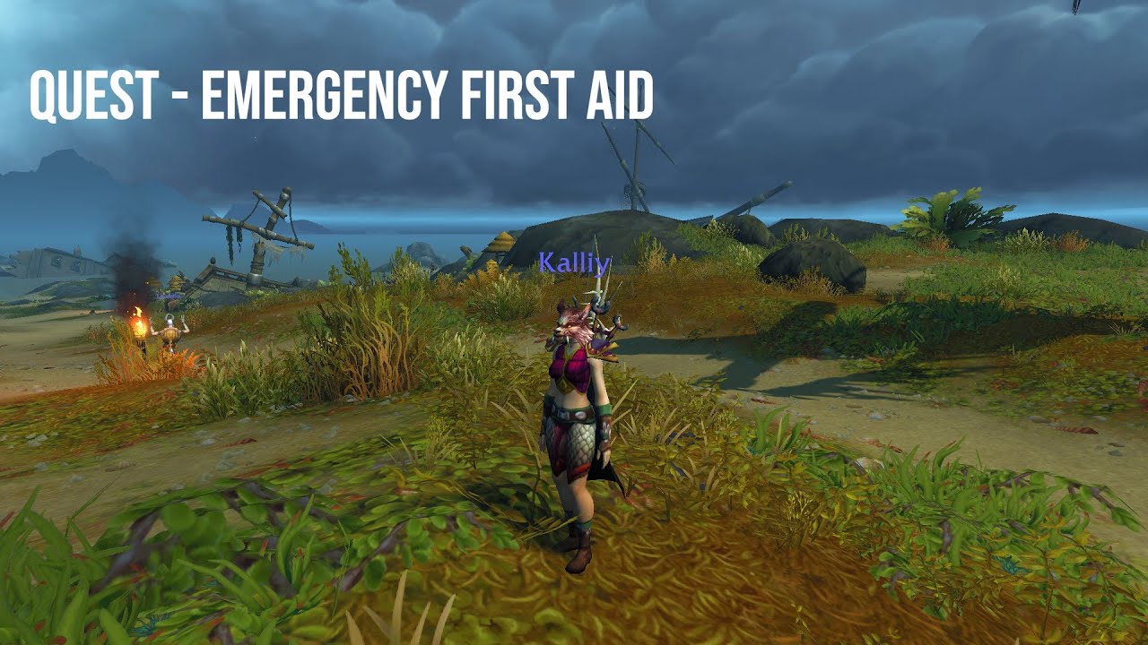 World of Warcraft - Primeiros socorros de emergência (Emergency First ...