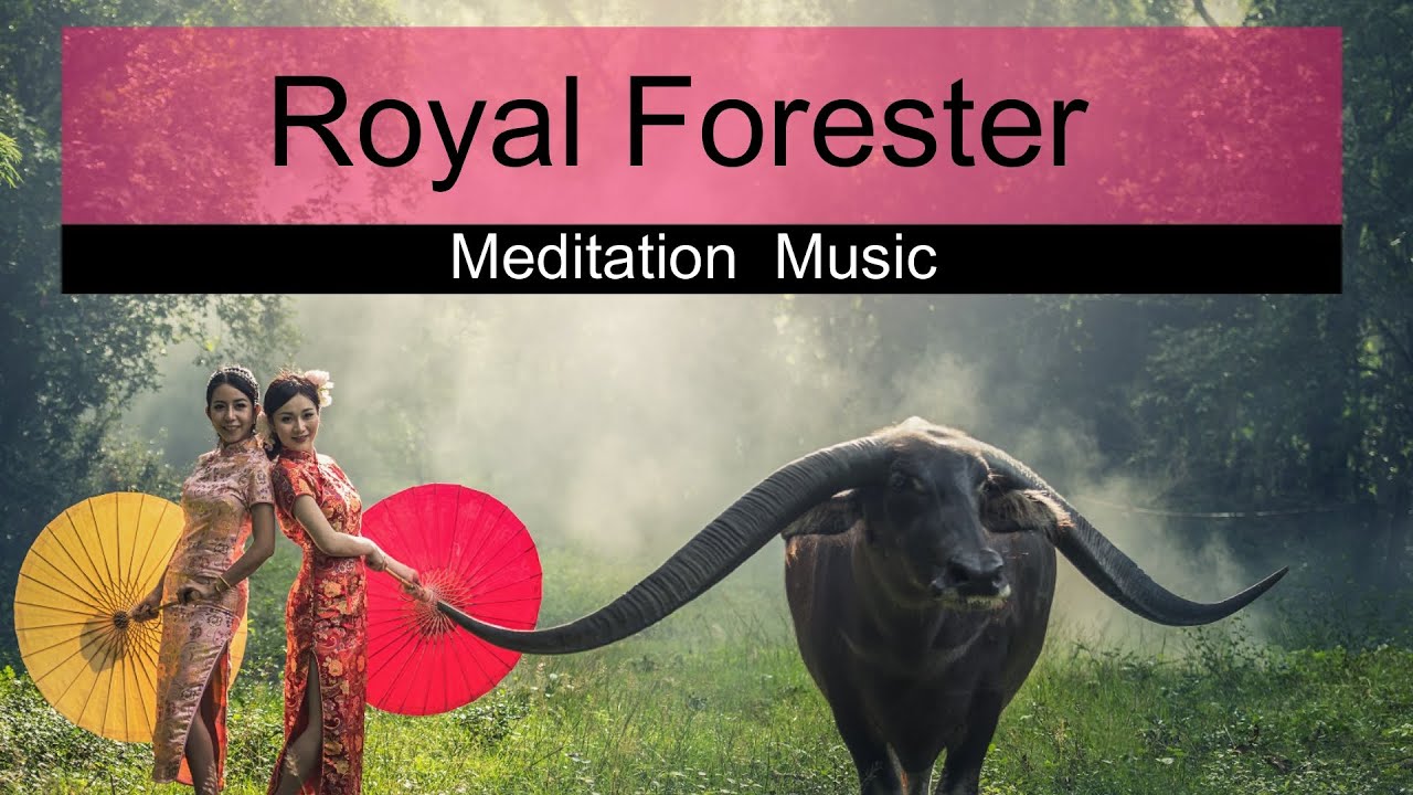 Meditation Music ⌉ Royal Forester - YouTube