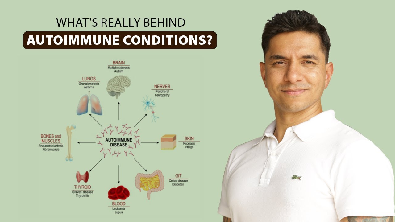 Identifying & Understanding Autoimmune Conditions For Better Health ...