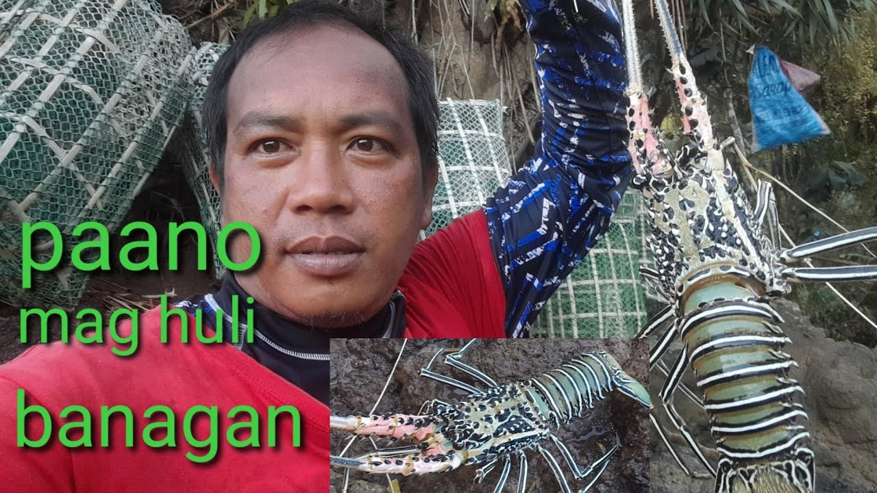 paano ba mag huli ng banagan or lobster patolong naman mga parekoy ...