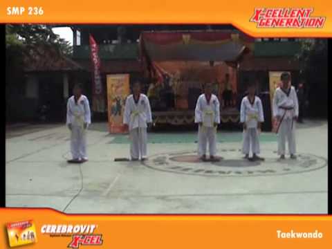 Taekwondo - SMP 236 - YouTube