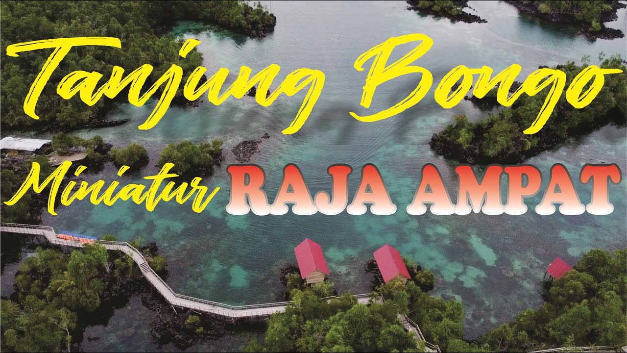 Tanjung Bongo, Miniatur Raja Ampat Halmahera Utara Punya - YouTube