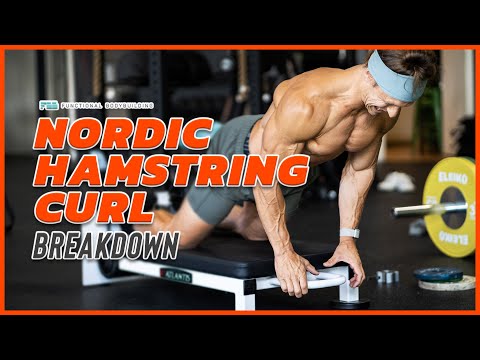 Nordic Hamstring Curl Breakdown - YouTube