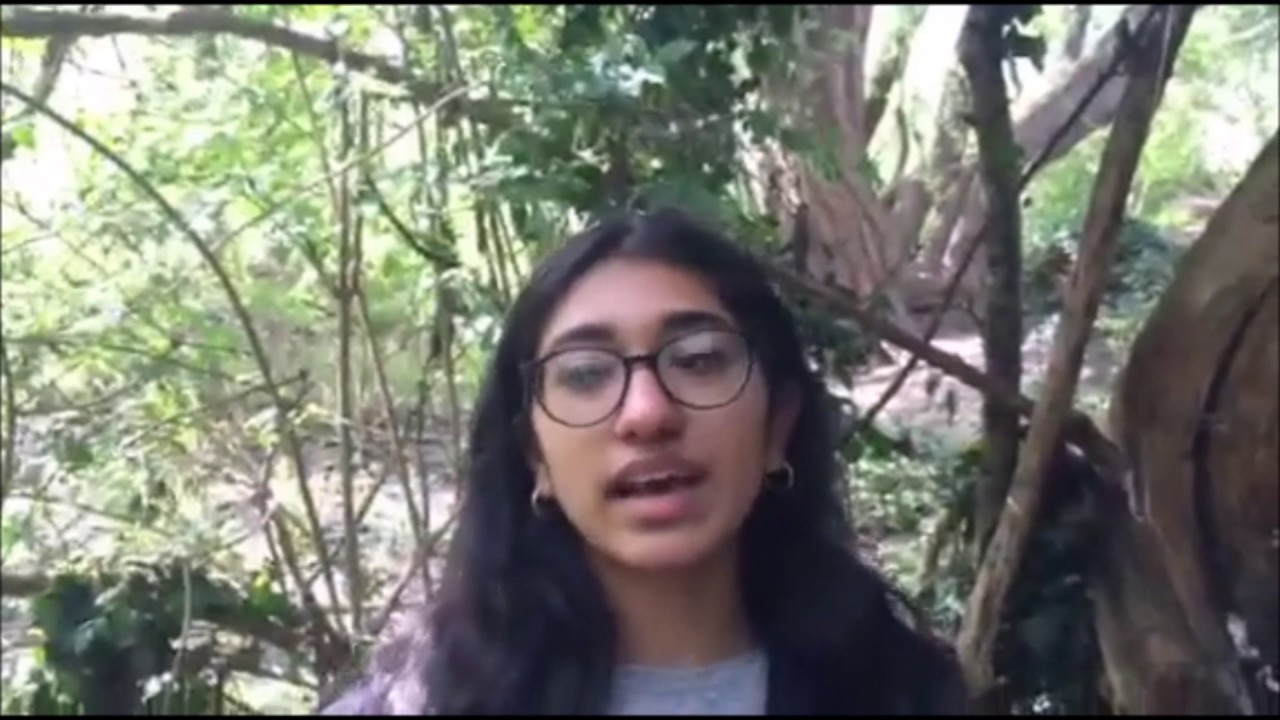 Bio Filmpje - Braakland - YouTube