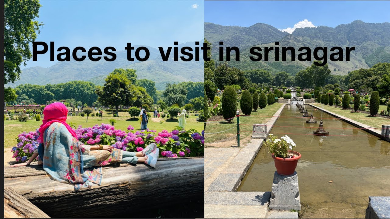 Nishat bagh || Mughal Garden Chashme shahi || Pari mahal ||Must visit ...