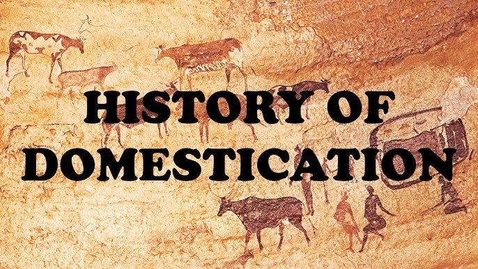 Mesolithic Domestication Of Animals And Plants