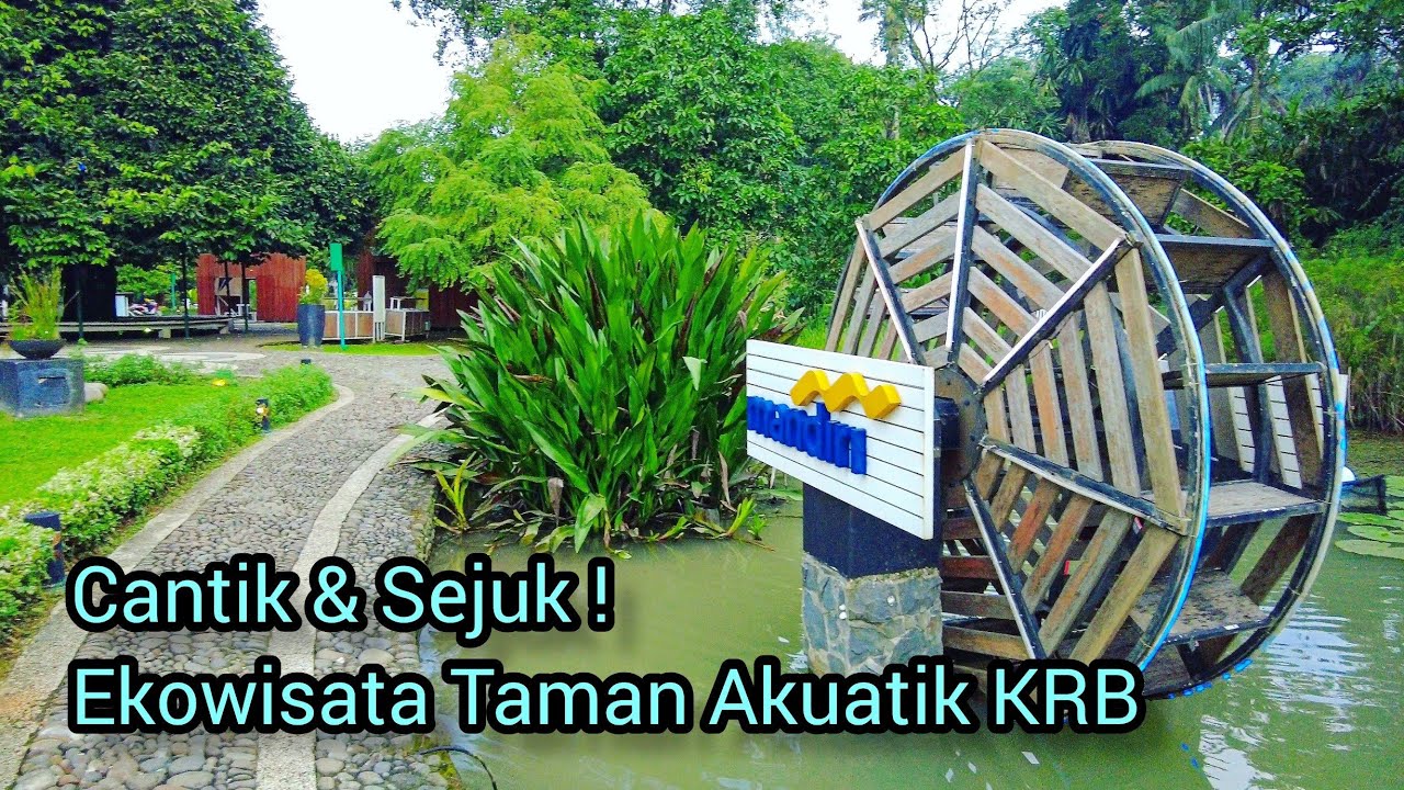 EKOWISATA TAMAN AKUATIK ~ SPOT CANTIK DAN MENARIK DI KEBUN RAYA BOGOR ...