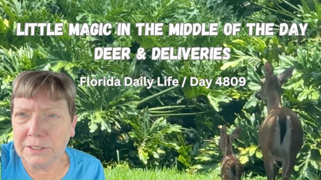Florida Daily Life/Little Magic in the Middle of the Day | Deer ...