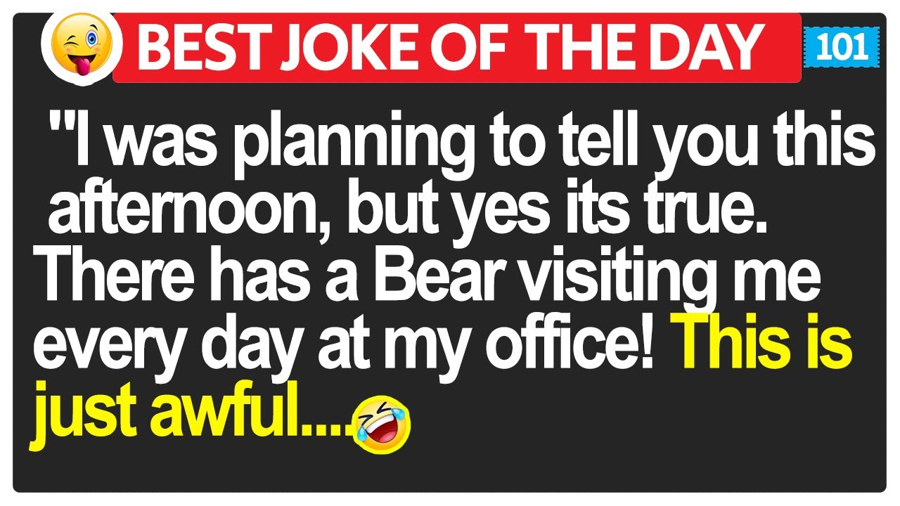 JOKES OF THE DAY 🤣 There has a Bear visiting me every day at my office ...