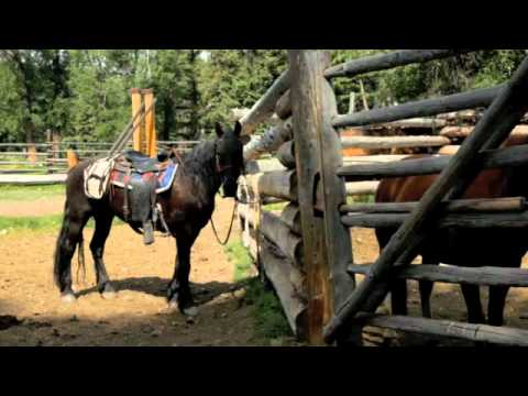 Moose Head Ranch, Jackson Hole Wyoming - YouTube
