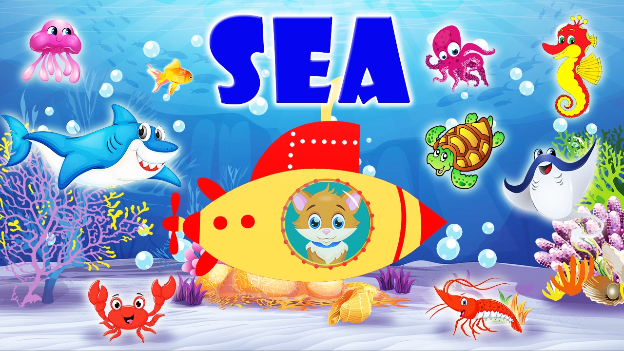 Learn Sea Animals For Kids English Vocabulary YouTube learn-sea-animals-for-kids-english-vocabulary-youtube