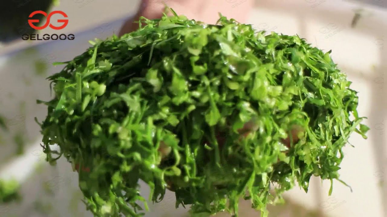 305 Parsley Cutter Machine/ Industrial Parsley and Coriander Chopping ...