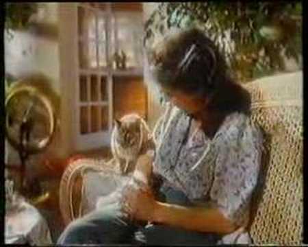 Whiskas (cat food) advert 1980s - YouTube