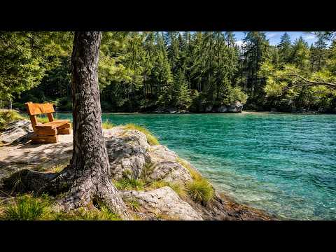 Silsersee Sils Maria | 1H Lakeside Bench & Calm Water at Lake Sils 4K | Lengau Lee #01