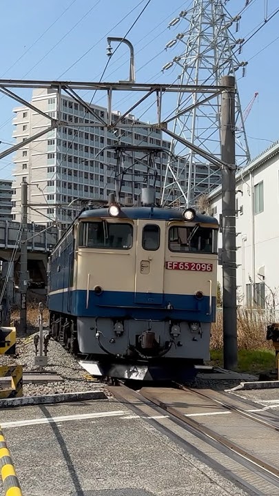 🟦EF65 2096 [新] 8460レ - YouTube