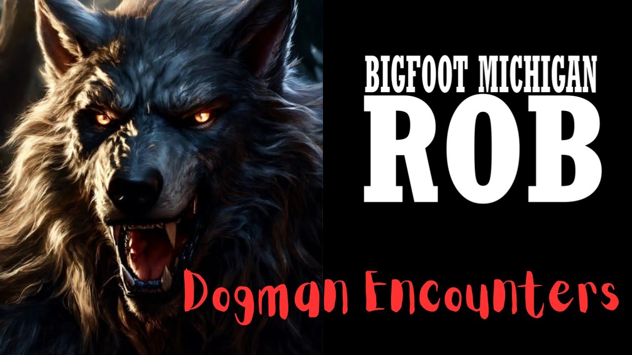 Dogman Encounters ~ National and State Forests - YouTube