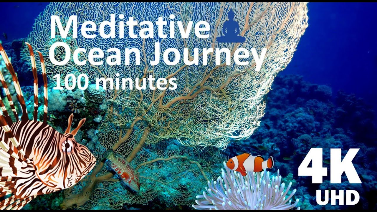Peaceful 4K Meditative Ocean Journey - YouTube